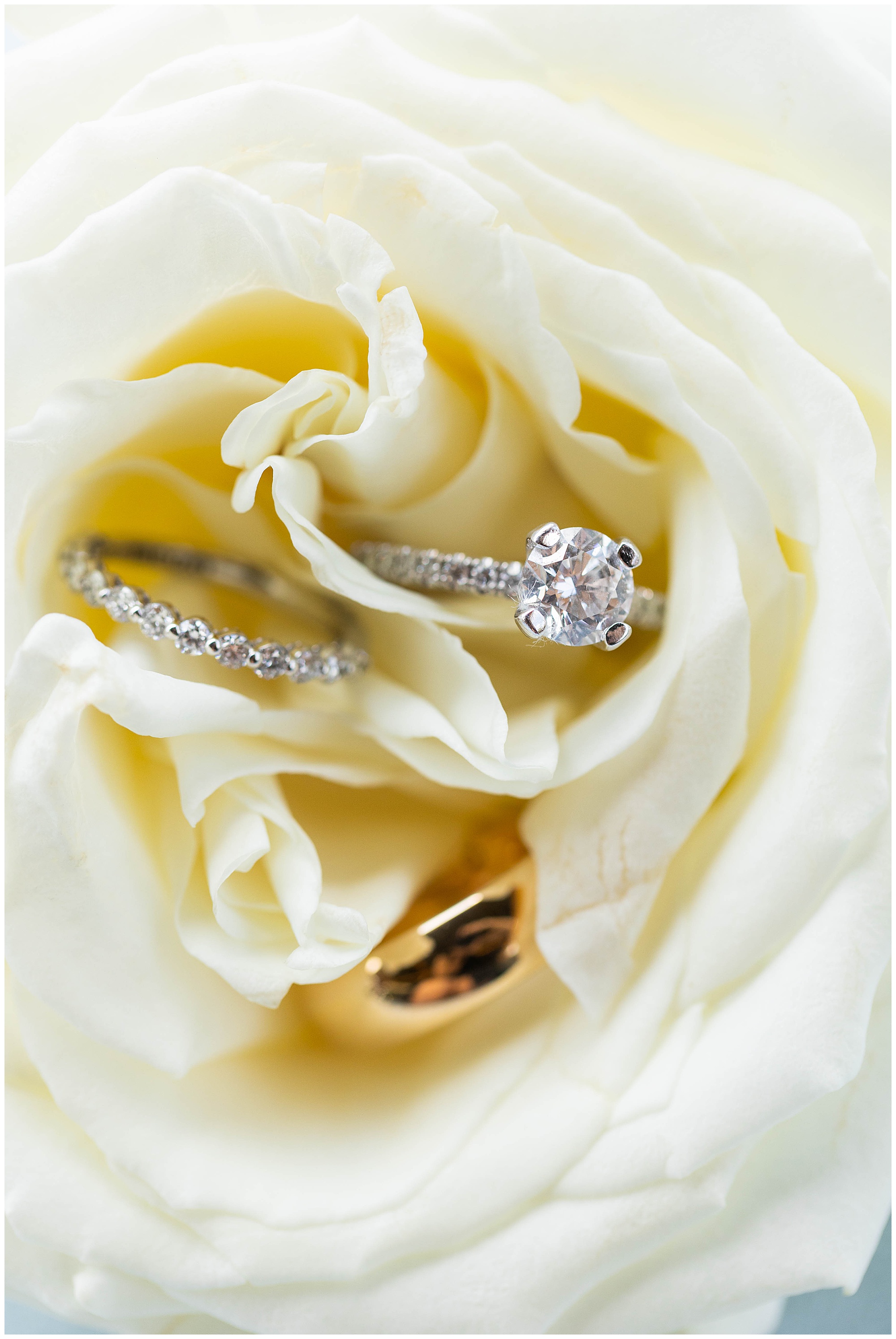 Nicole + Ben: New Water Farms on Lake Martin